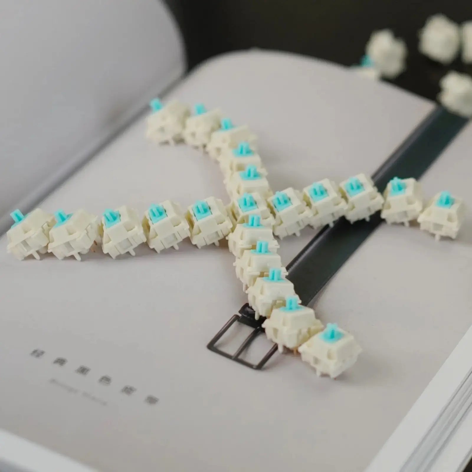 BSUN X Switches - SerpentKeys